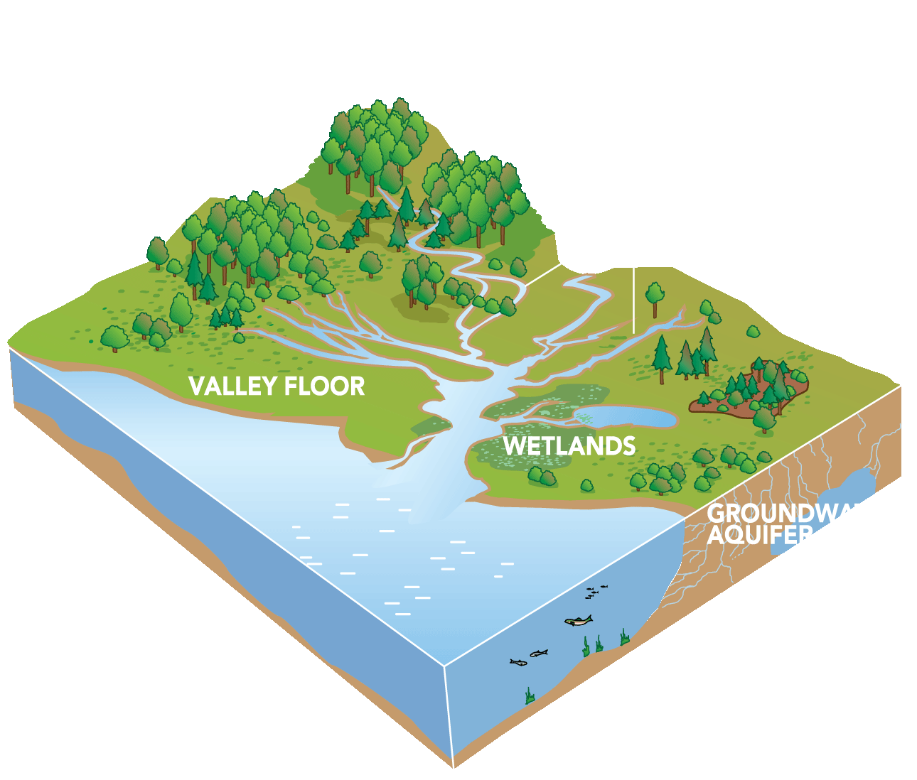 Watershed-Friendly PA – Water Quality – Water Regeneration – Healthy ...